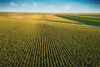 The FAA's Part 108 Rule: A Framework for Beyond Visual Line of Sight ...
